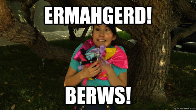 ERMAHGERD! BERWS! - Herller Perp! - quickmeme
