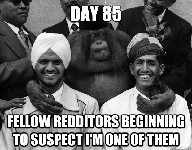 Day 85 fellow Redditors beginning to suspect I'm one of them - Acceptance Ape - quickmeme