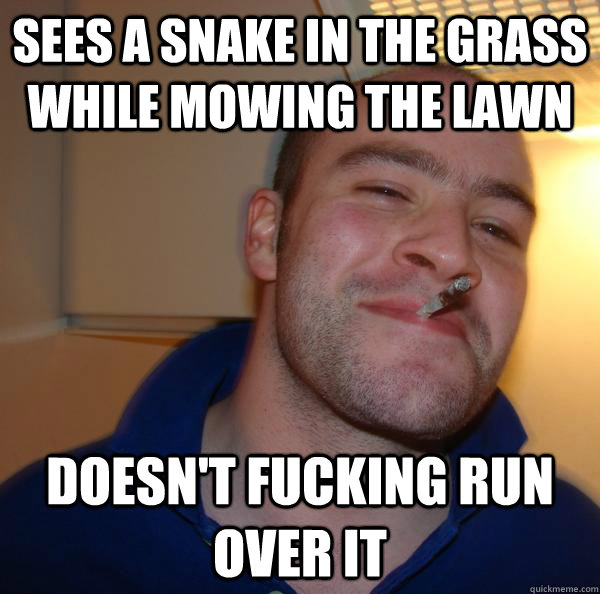 Sees a snake in the grass while mowing the lawn doesn't fucking run over it - Misc - quickmeme