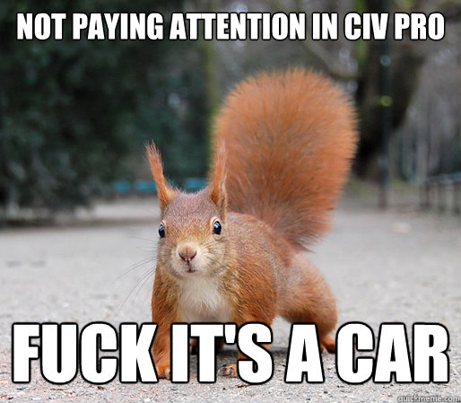 NeuroticAttention-Deficit Squirrel memes | quickmeme