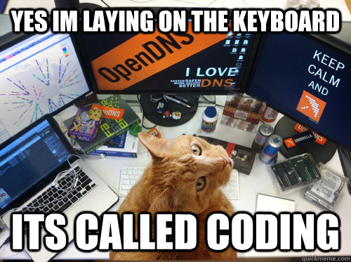 yes im laying on the keyboard its called coding - SysCatmin - quickmeme
