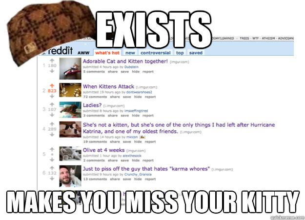 Exists makes you miss your kitty - Misc - quickmeme