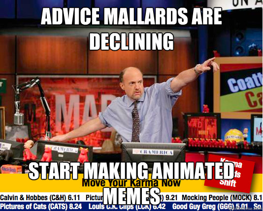 Advice Mallards are declining Start making animated memes - move your karma now - quickmeme