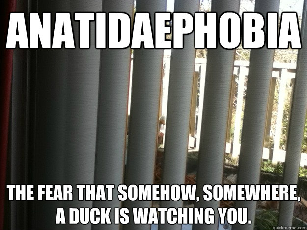 Anatidaephobia the fear that somehow, somewhere, a duck is watching you. - Misc - quickmeme