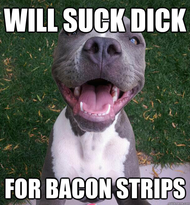 Will suck dick for bacon strips - prostitute dog - quickmeme