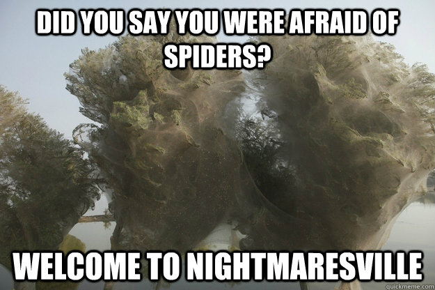 Did you say you were afraid of spiders? welcome to nightmaresville - spider trees - quickmeme