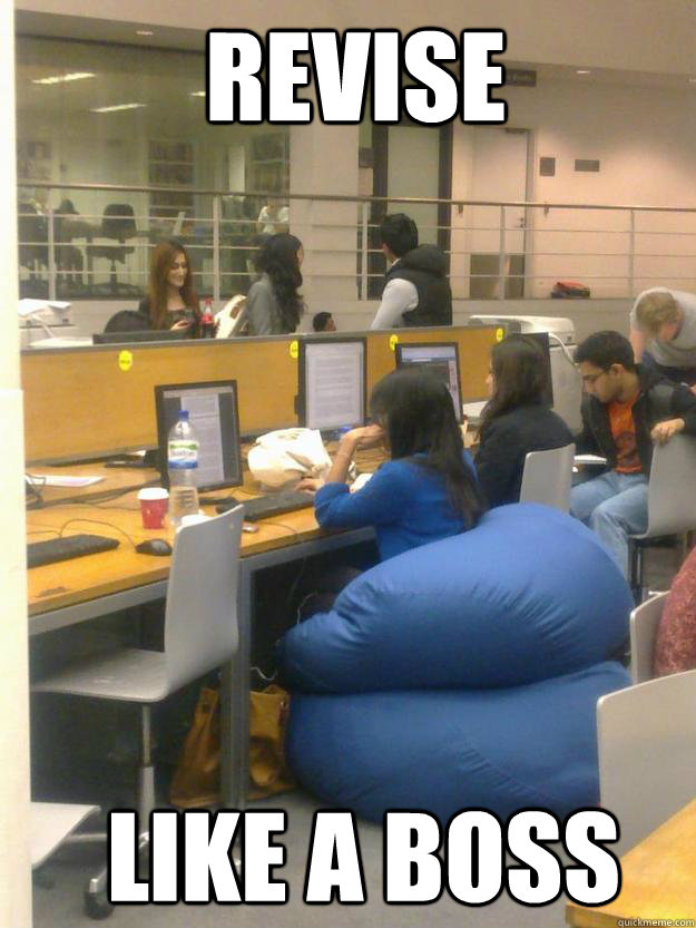 Lse Revision Girl Memes Quickmeme