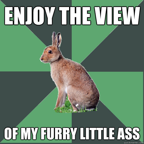 ENJOY THE VIEW OF MY FURRY LITTLE ASS - Harrier Hare - quickmeme