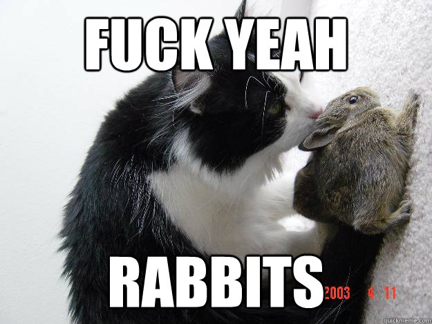 Fuck yeah rabbits memes | quickmeme