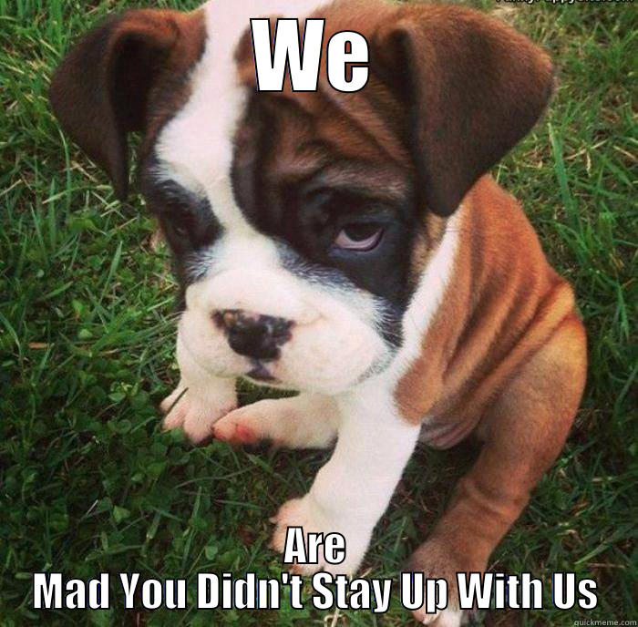 Bulldog Pup - quickmeme