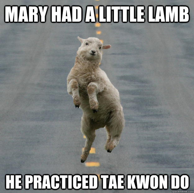 Mary had a little lamb He practiced tae kwon do - Skipping Lamb - quickmeme