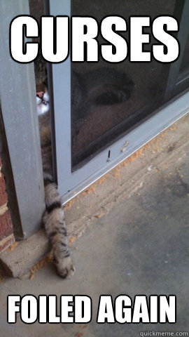 Curses foiled again - TJ the Cat - quickmeme