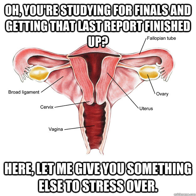 Oh, you're studying for finals and getting that last report finished up? Here, let me give you ...