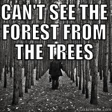can't see the forest for the trees - quickmeme