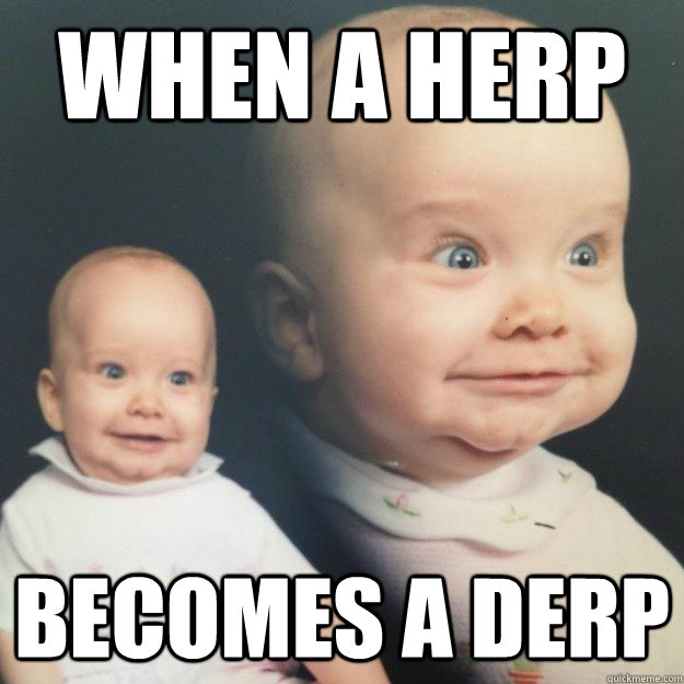 when a herp becomes a derp - here comes the airplane... - quickmeme