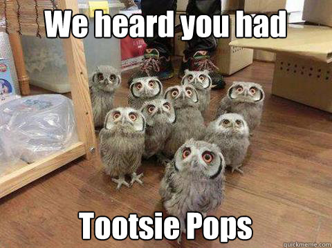 We heard you had Tootsie Pops - Herd of skeptical owls - quickmeme