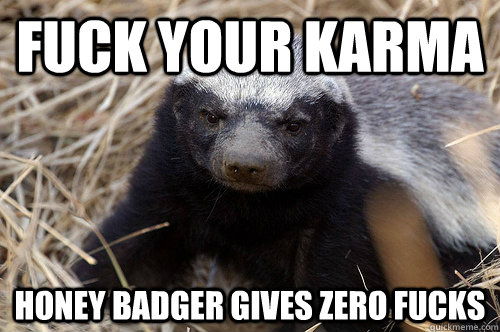 Fuck your karma Honey badger gives Zero fucks - 0fuckbadger - quickmeme