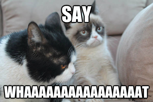 say whaaaaaaaaaaaaaaaat - grumpy cat say what - quickmeme