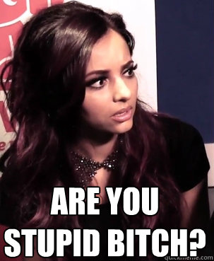 are you stupid bitch? - Misc - quickmeme