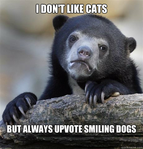 I don't like cats but always upvote smiling dogs - Misc - quickmeme