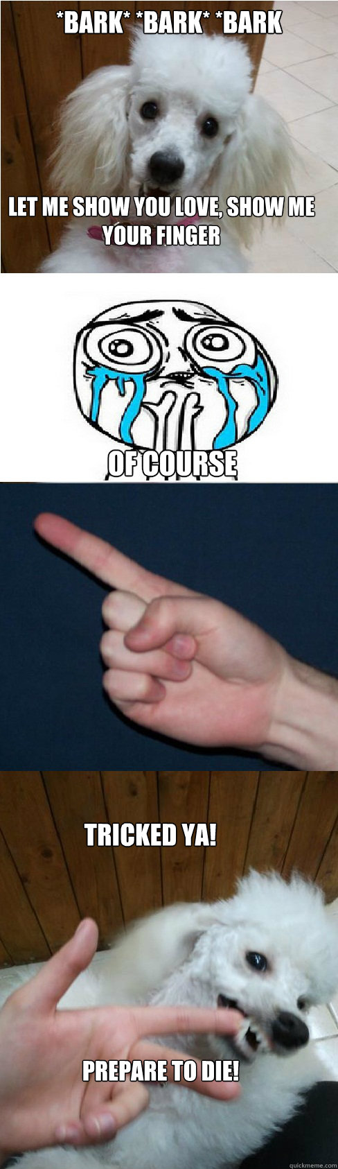 Le Dog Terminator memes | quickmeme