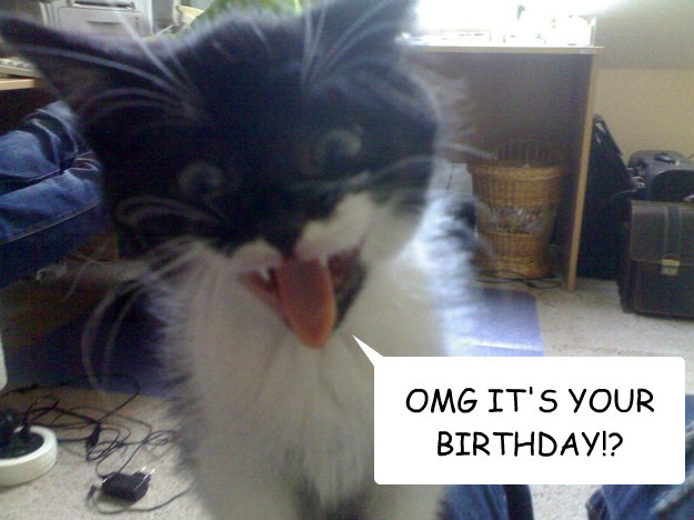 OMG IT'S YOUR BIRTHDAY!? - Misc - quickmeme