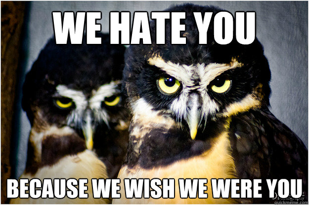 we hate you because we wish we were you - Honest Hater owls - quickmeme