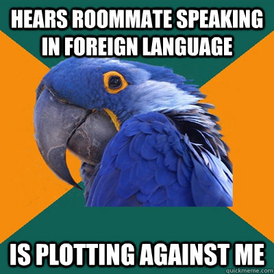 Hears roommate speaking in foreign language is Plotting against me - Paranoid Parrot - quickmeme