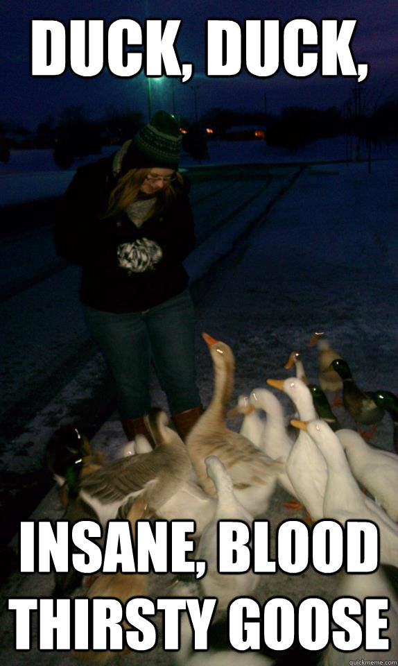 Duck, Duck, insane, blood thirsty goose - Misc - quickmeme
