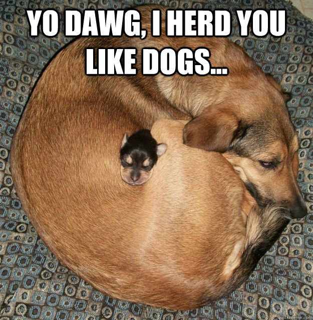 Yo Dawg, I herd you like dogs... - Misc - quickmeme
