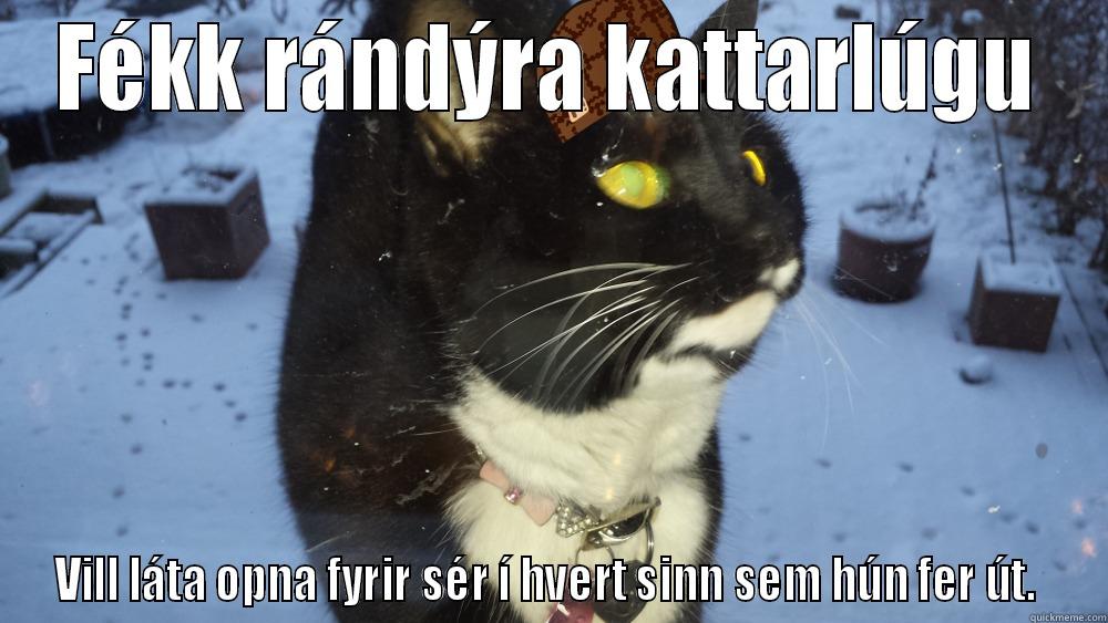 Scumbag cat - quickmeme