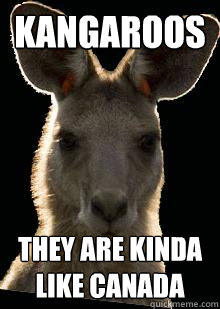 kangaroos they are kinda like canada - QC Kangaroo - quickmeme