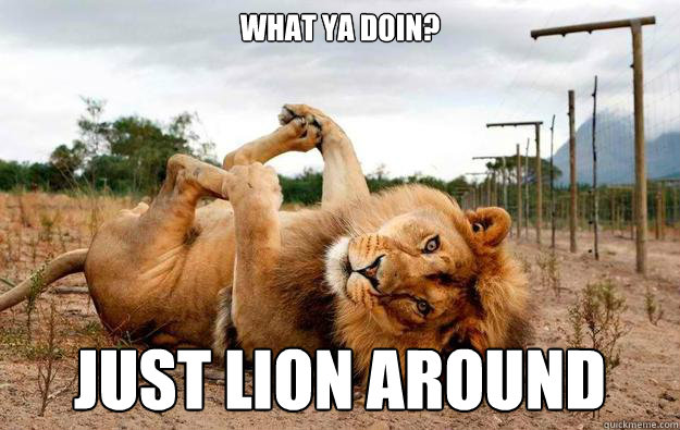 What ya doin? Just lion around - Misc - quickmeme