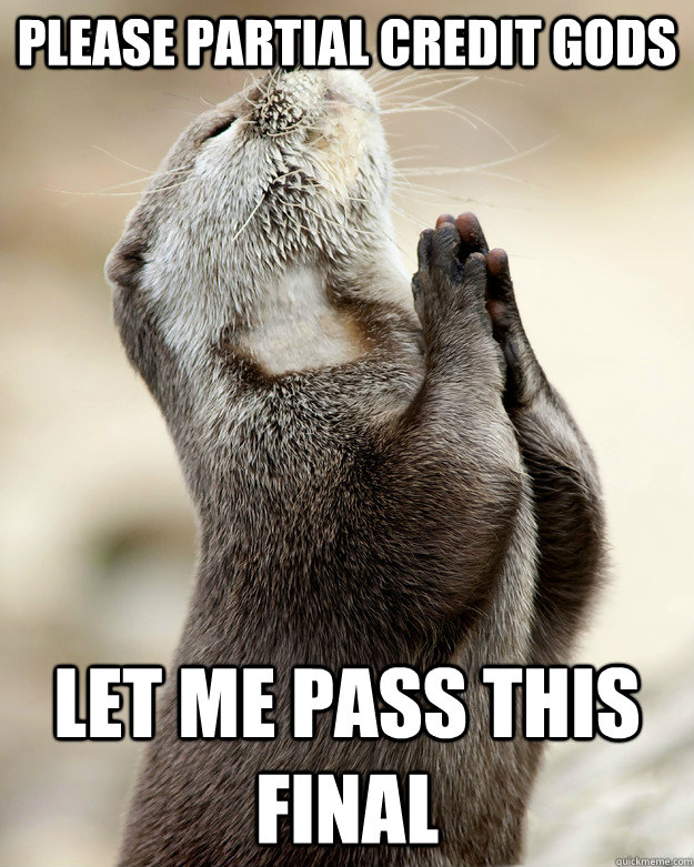 Please Partial Credit Gods Let me pass this final - Otter praying - quickmeme