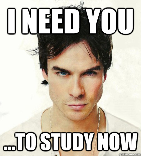 I need you ...to study now - Misc - quickmeme