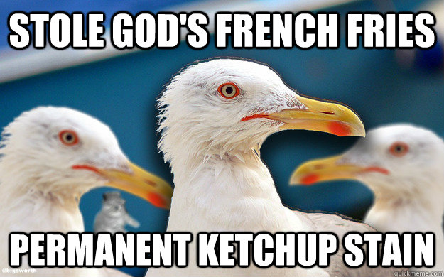 Stole God's French Fries Permanent Ketchup Stain - Spited Seabird - quickmeme