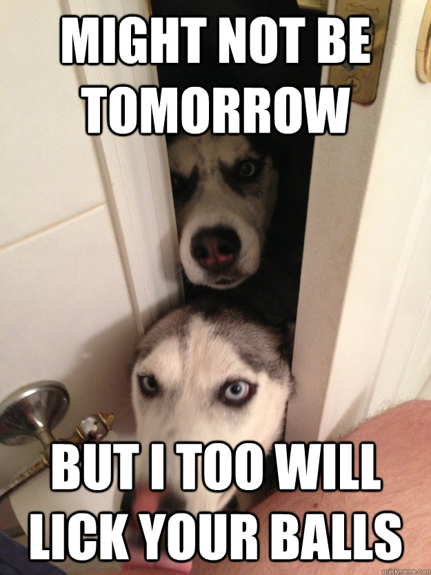 Might not be tomorrow but I too will lick your balls - Misc - quickmeme