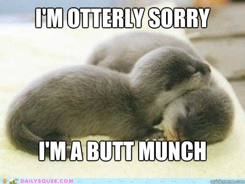 I'm Otterly Sorry I'm a Butt Munch - Pun Otter - quickmeme