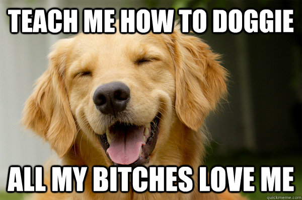 Teach me how to Doggie all my bitches love me - Cute Sexual Dog - quickmeme