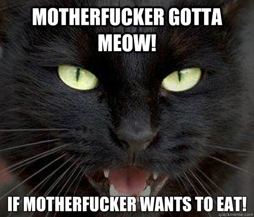 motherfucker gotta meow! if motherfucker wants to eat! - Misc - quickmeme