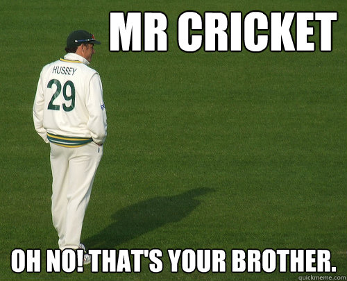 MR CRICKET OH NO! THAT'S YOUR BROTHER. - Misc - quickmeme