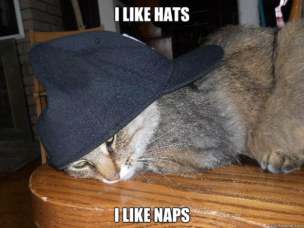 I like hats i like naps - Tubman hat - quickmeme