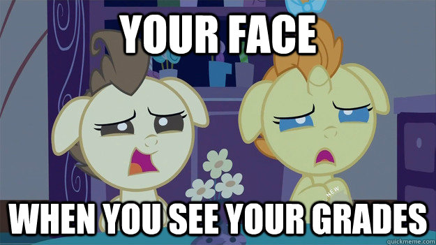 Your face when you see your grades - Not Sure MLP Twins - quickmeme
