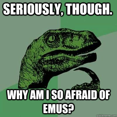 Seriously, though. Why AM I so afraid of emus? - Misc - quickmeme