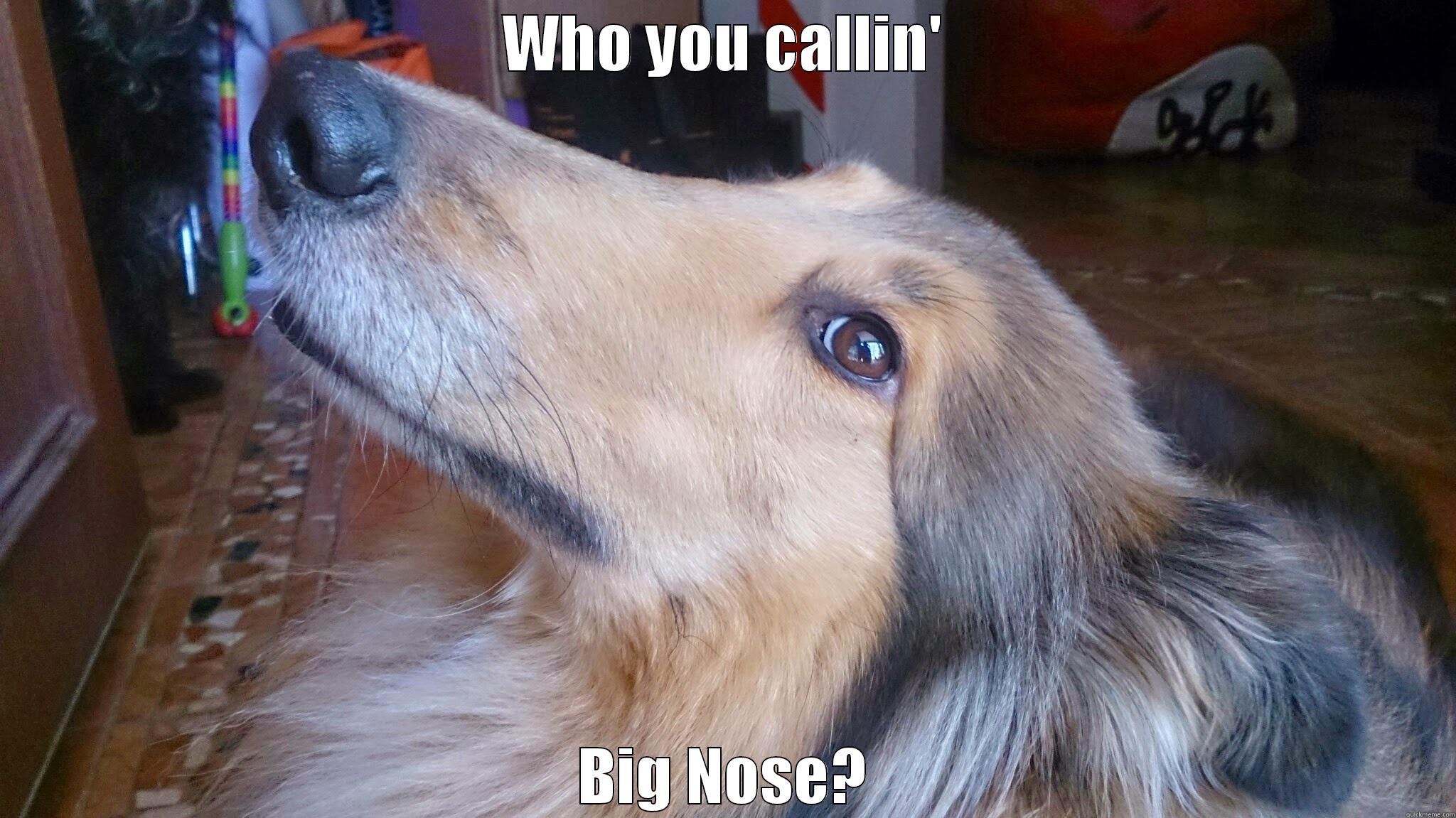 Big Nose - quickmeme