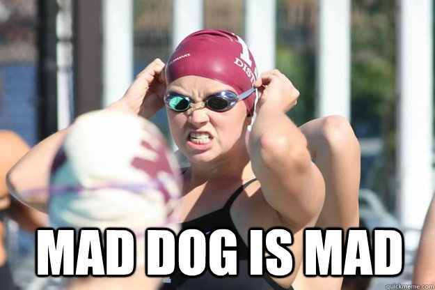 MAD DOG IS MAD - Maddie Angry - quickmeme