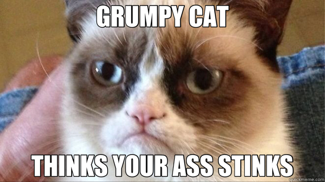 GRUMPY CAT THINKS YOUR ASS STINKS - Misc - quickmeme