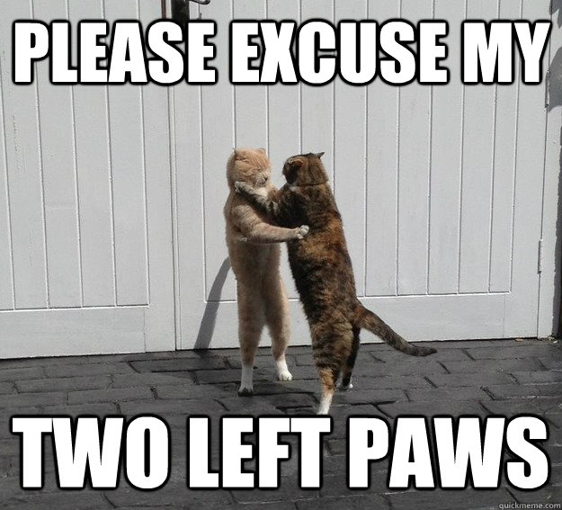 please excuse my two left paws - dancing cats - quickmeme