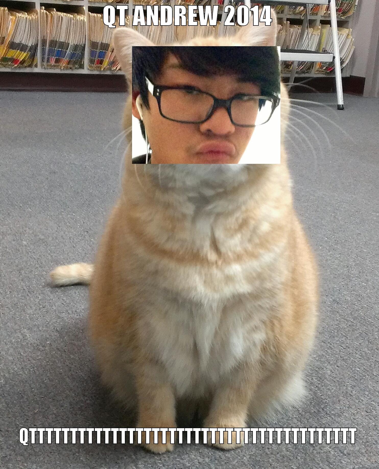 andrew cat swag - quickmeme