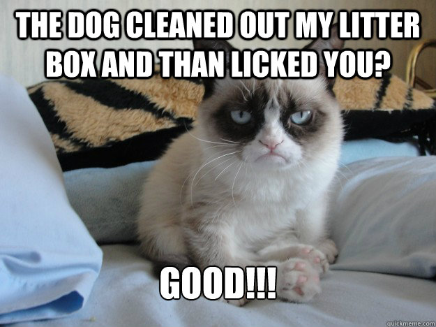 The dog cleaned out my litter box and than licked you? GOod!!! - Misc - quickmeme